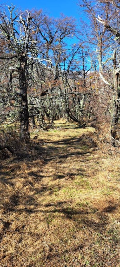 Dos nuevas sendas que unirán la Planta Estable con el Camping Lago Roca ...